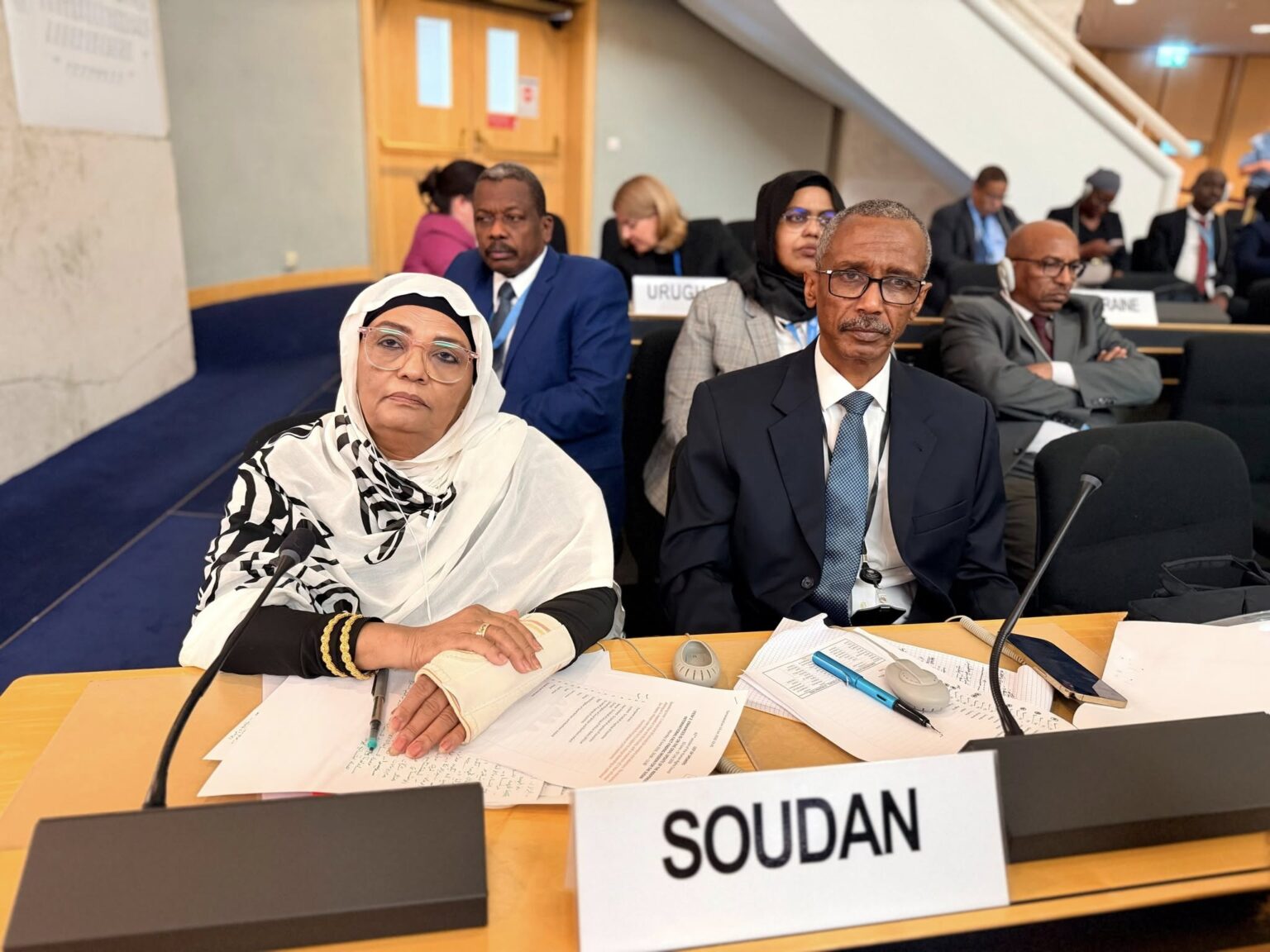 Sudan Calls for End to UAE Support for RSF at UN Rights Council - Sudan Now